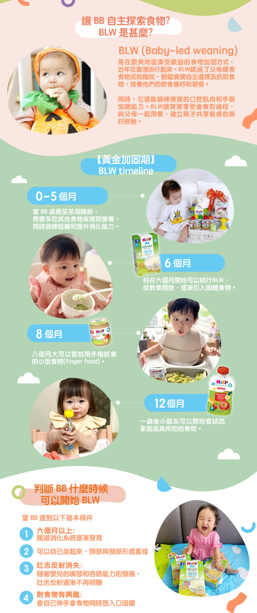 Hipp Bady-led weaning 小煮意創意食譜 - 德國HiPP喜寶